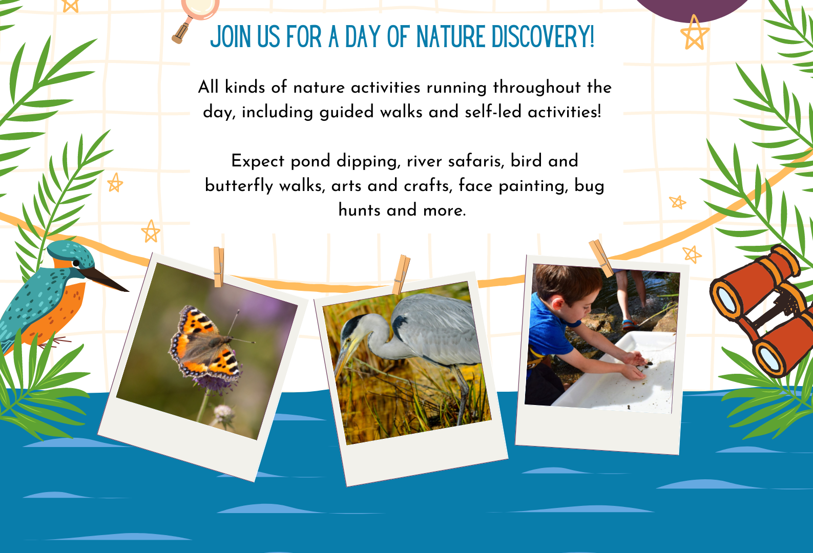 Bollin Bioblitz - Macclesfield Town Council